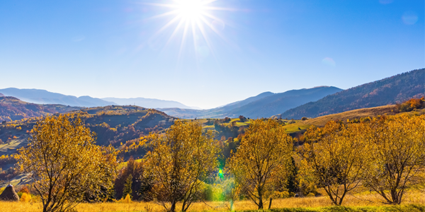 3/11/25: Sunny Skies and Breezy Vibes - A Perfect Nashville Day | Man ...